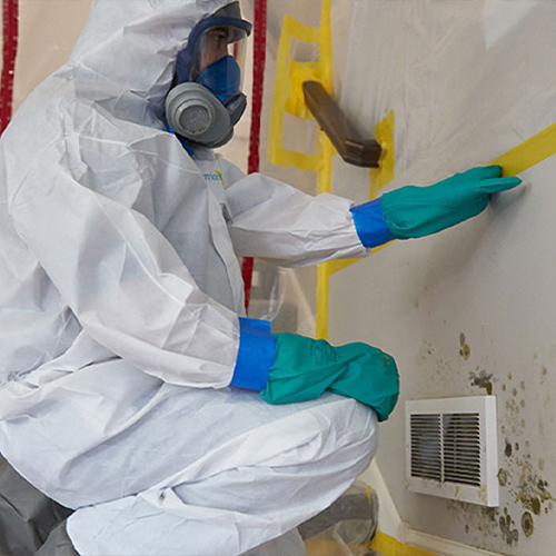 Mold and Environmental Solutions in Colorado Springs